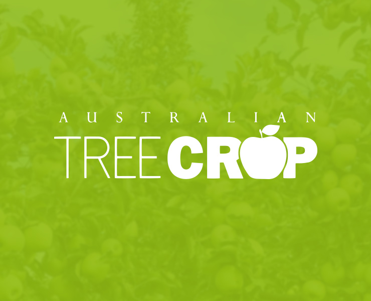 See Our Work | Creatio